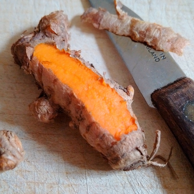 Fresh turmeric root – how to grow | My Virtually Free-from Kitchen