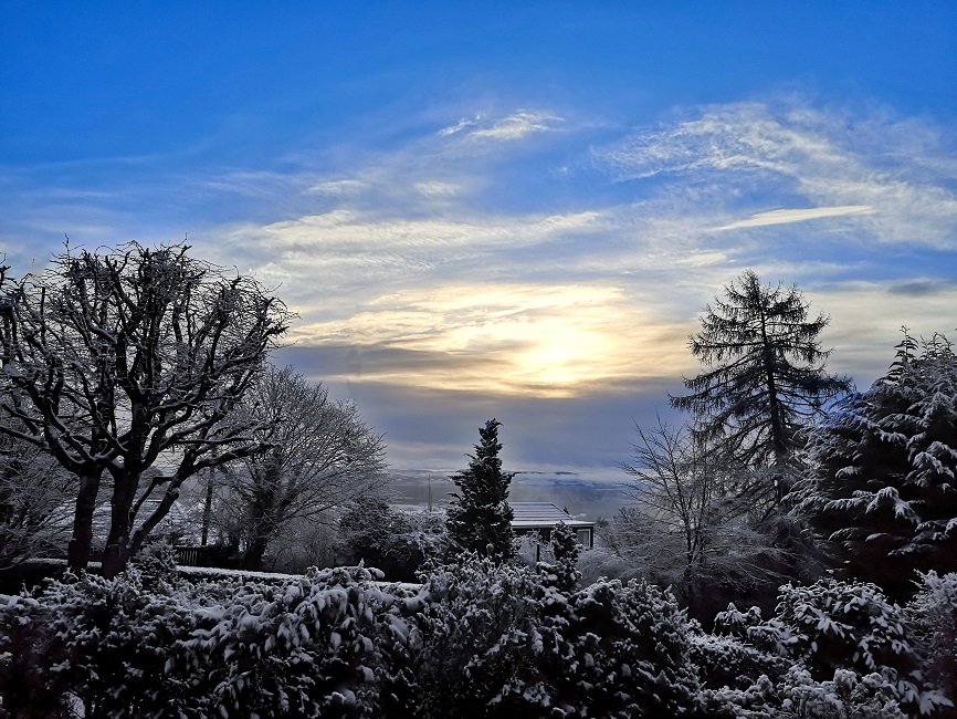 End of December garden | My Virtually Free-from Kitchen