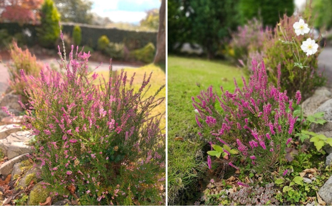 Autumn vibes | My Virtually Free-from Kitchen