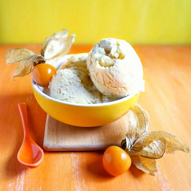 Take 3 – fruit ice cream (vegan; dairy-free; gluten-free) | My ...