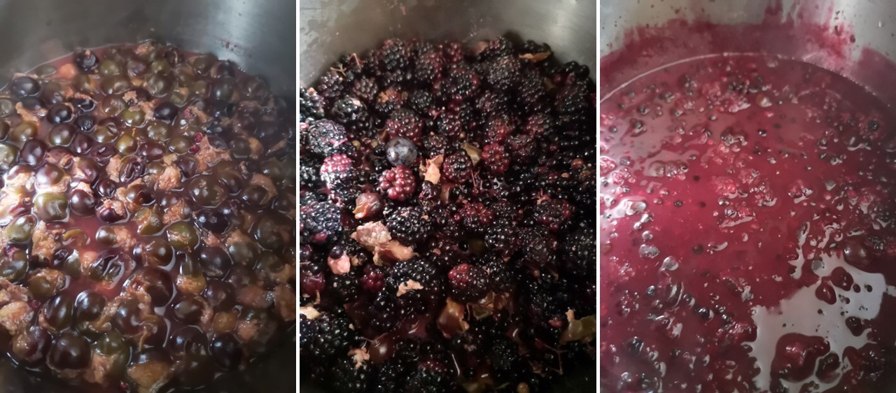 Cooking_the_fruit_for_preserve_making | My Virtually Free-from Kitchen