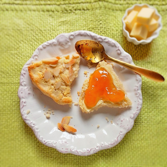 Almond scone round (gluten-free; dairy-free; vegan) | My Virtually Free ...