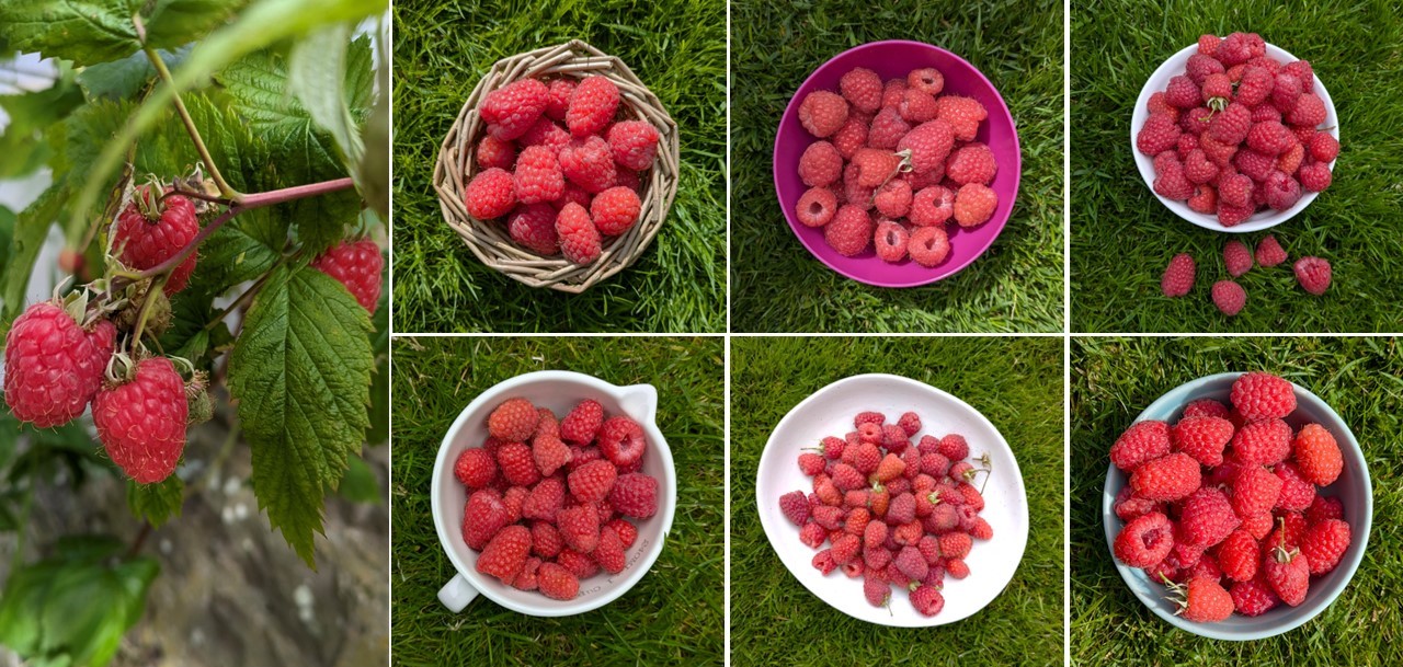 My Virtually Free-from Kitchen | Welcome to my blog all about the ...